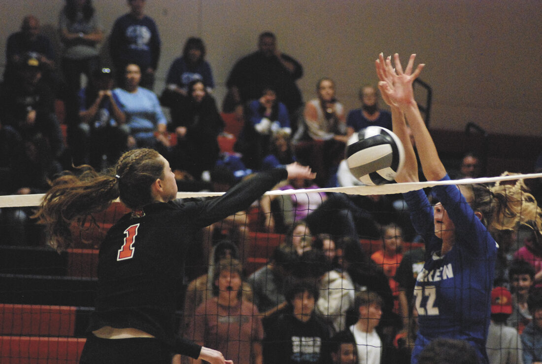 Local Sports | News, Sports, Jobs - News and Sentinel